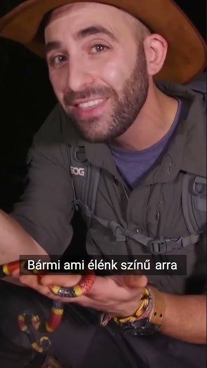 EZ EGY MÉRGEZŐ KÍGYÓ? Brave Wilderness Magyar | Vadállat harapás #shorts - YouTube