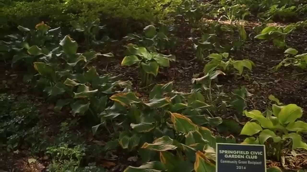 IL Stories | Gardens of the Executive Mansion, Fall 2014 | WSEC-TV/PBS ...