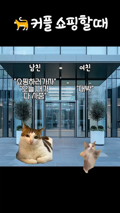 Cat Memes🐈 커플 쇼핑할때 고양이밈 Catmemes Relationship Relatable Youtube