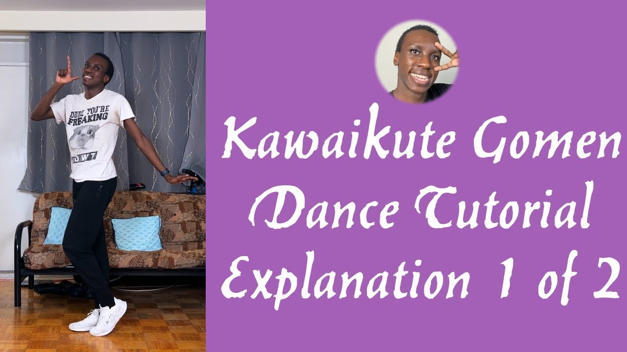 Kawaikute Gomen Dance Tutorial - Explanation Version Mirrored step-by ...