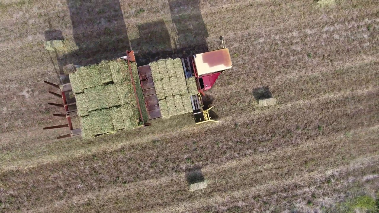 Stacking 3rd cutting alfalfa - YouTube