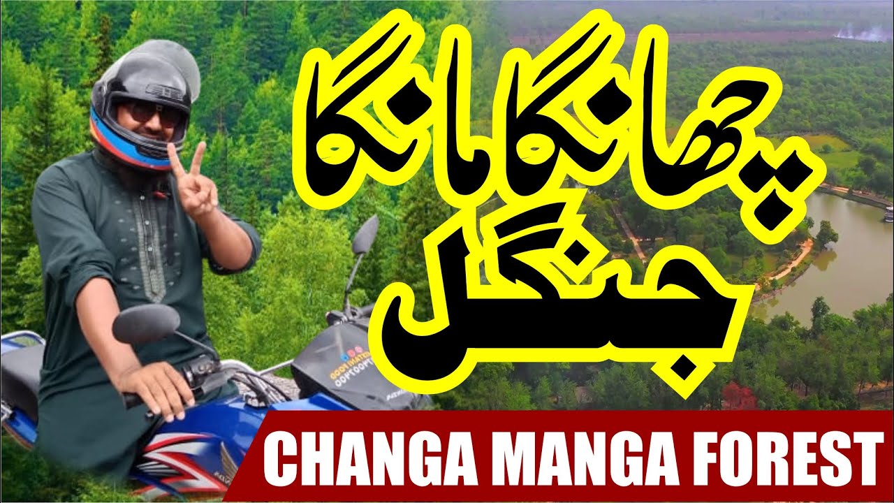 Changa Manga Amazing Forest Of The World | Only Hand-Planted Forest In ...