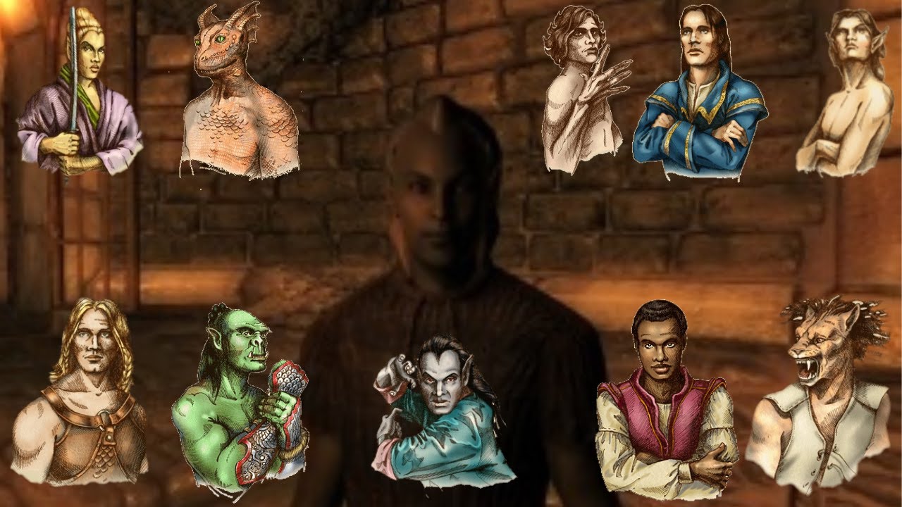 Valen Dreth Reacts To Your Character's Race - TES IV Oblivion - YouTube