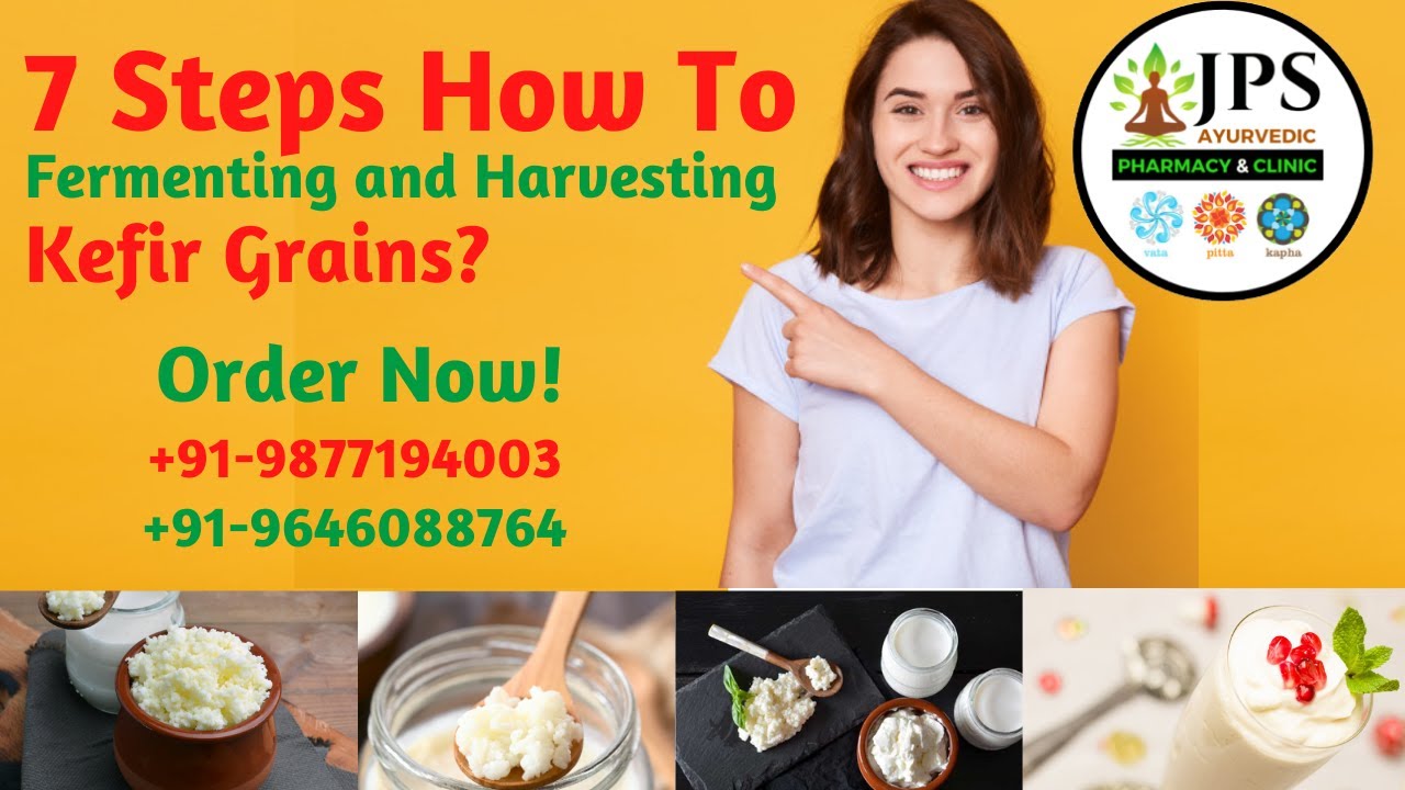 7 Steps - How to Fermenting and Harvesting Kefir Grains? - Milk and ...
