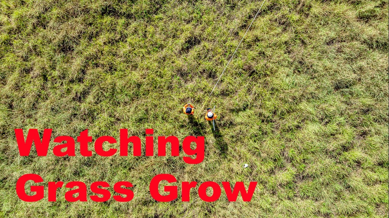 Watching grass grow - YouTube