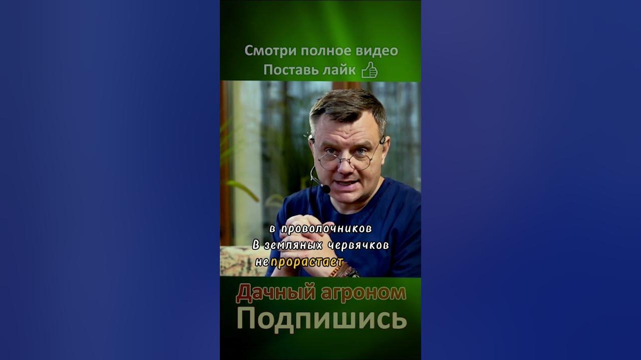 СУПЕР СРЕДСТВО от личинки майского жука МЕТАРИЗИН Дачный агроном - YouTube