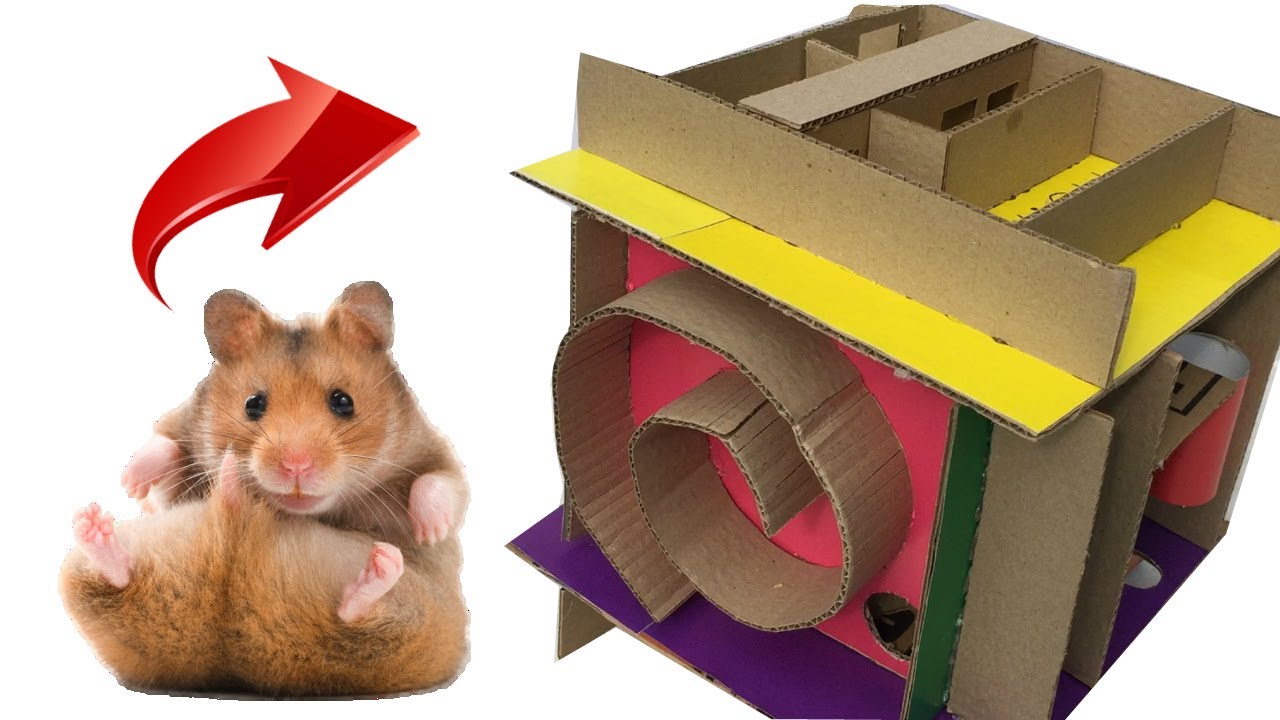 Cute Hamster Jerry in 3D Cube Maze - YouTube