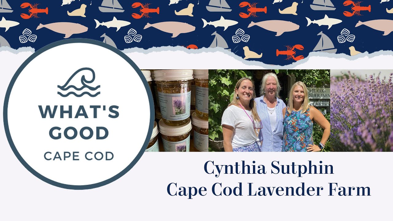 What's Good Cape Cod: Cape Cod Lavender Farm - YouTube