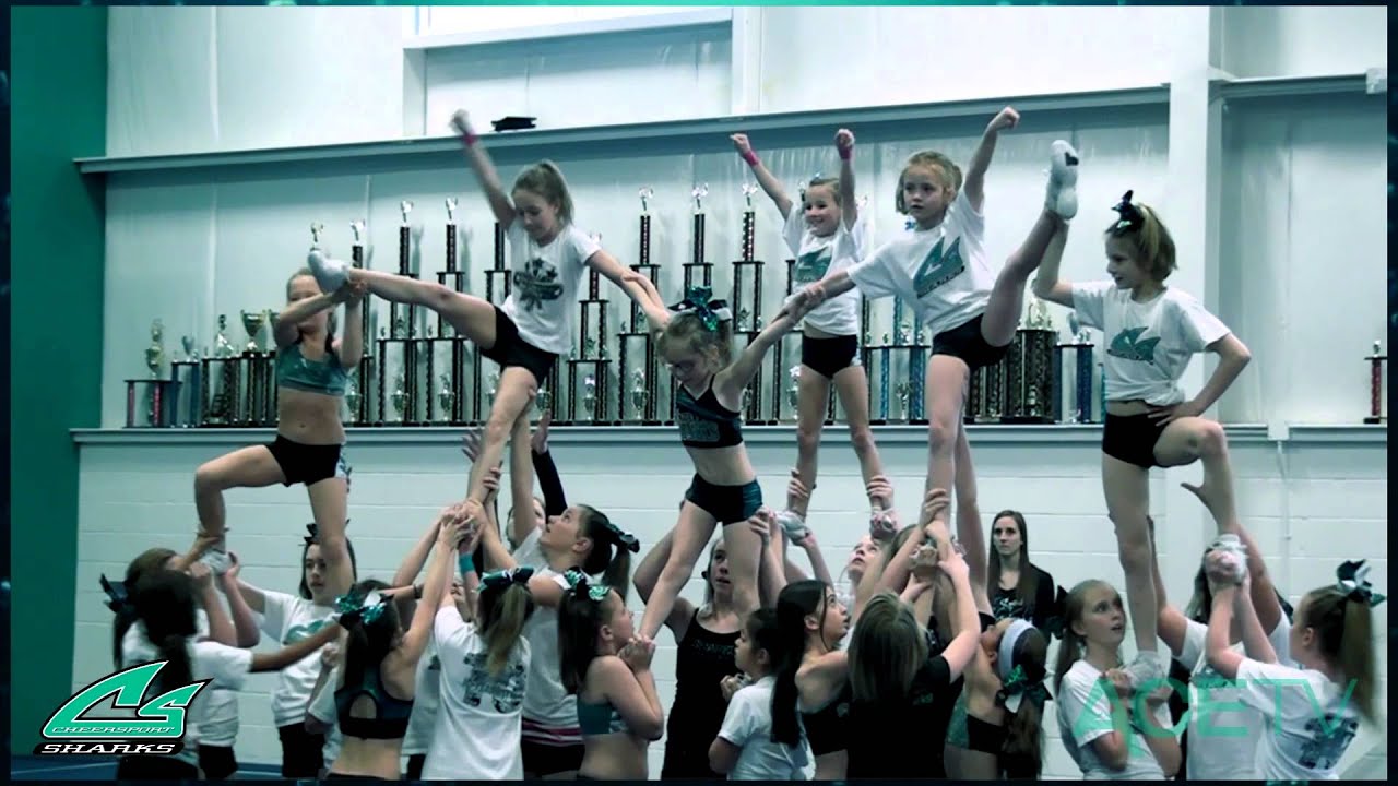 Cheer Sport Sharks Hd Leopard Youtube