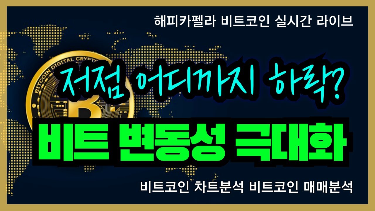 비트코인 실시간 비트 변동성 극대화 저점 하락 어디까지 310 점심💎비트코인 비트코인실시간 이더리움 리플