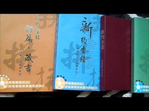 Pinyin Chinese Bible, Chinese Version Bibles, Chinese Bible Online ...