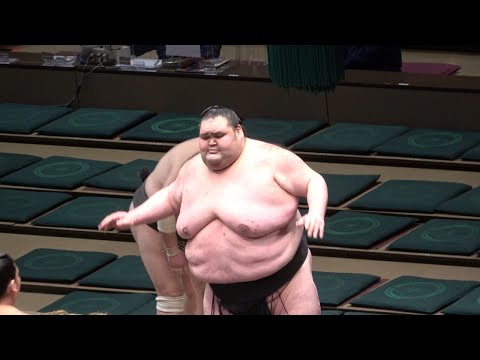 239-kilo Kenho: Sumo's giant enigma