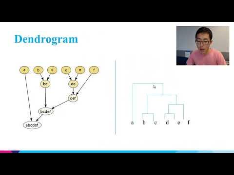 Clustergram in MATLAB - Network Analysis in Systems Biology - YouTube