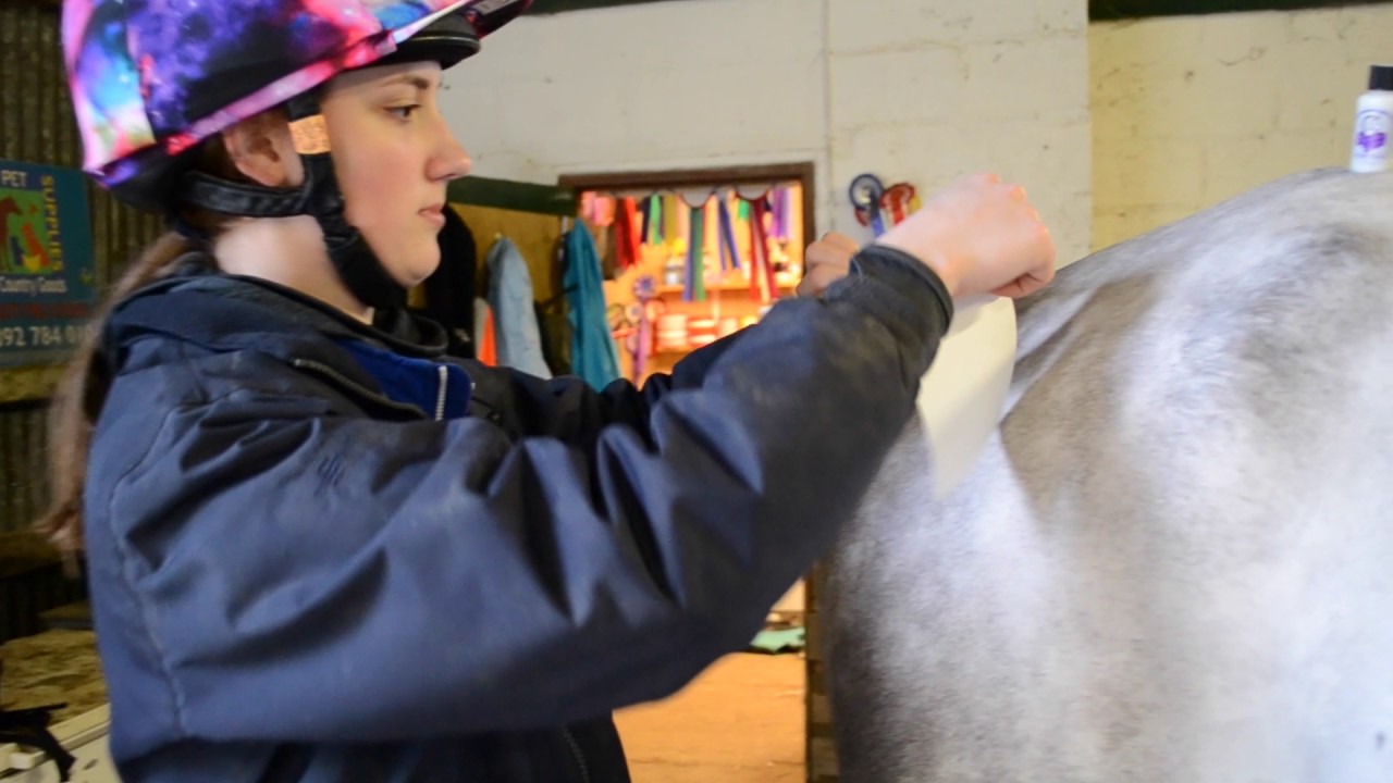 My Horse Box UK - February box contents - YouTube