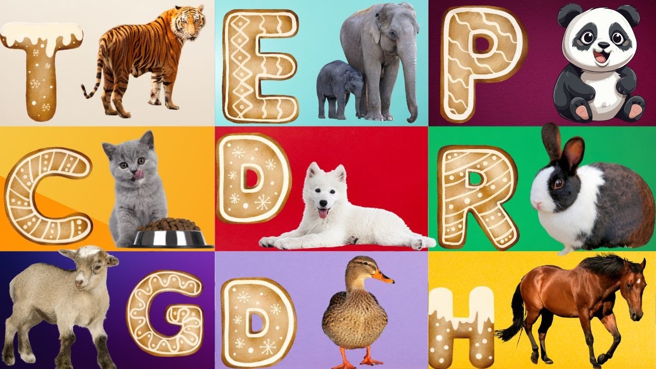 The Creative ABC SONG'S, ABC Animals Song For Kids, Elephant, Cow ...
