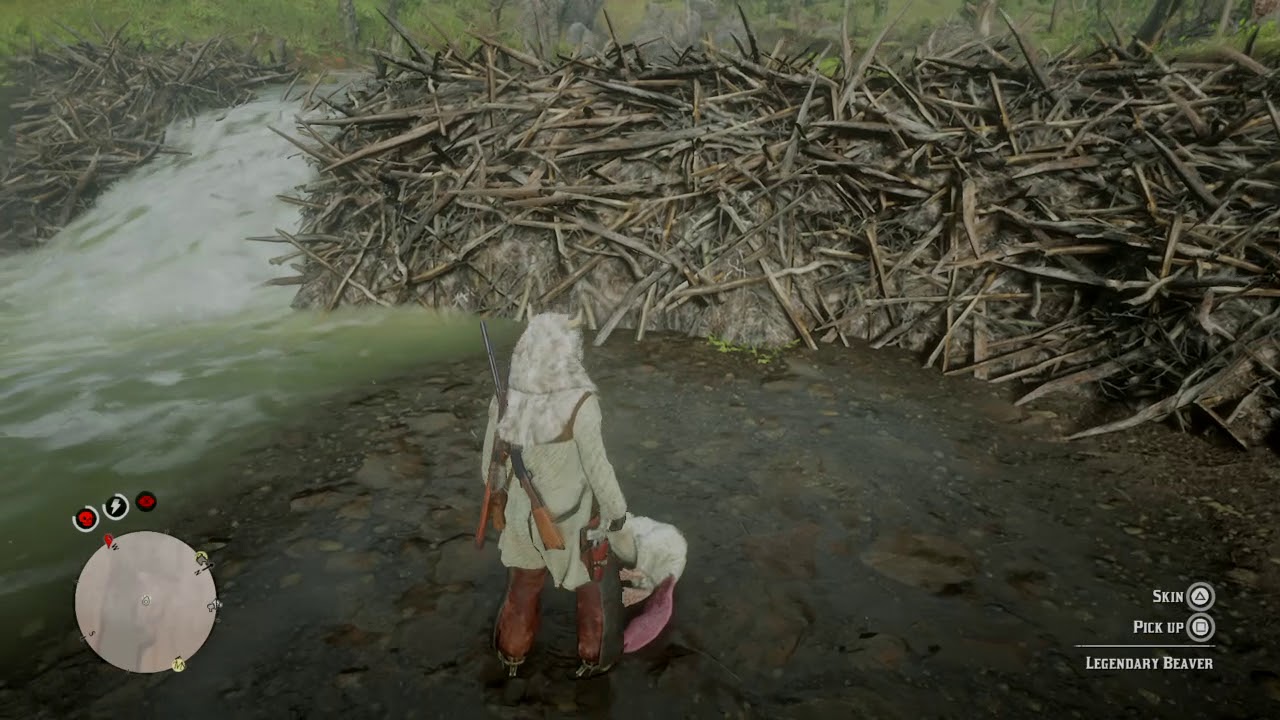 Red Dead Redemption : Legendary Beaver - YouTube