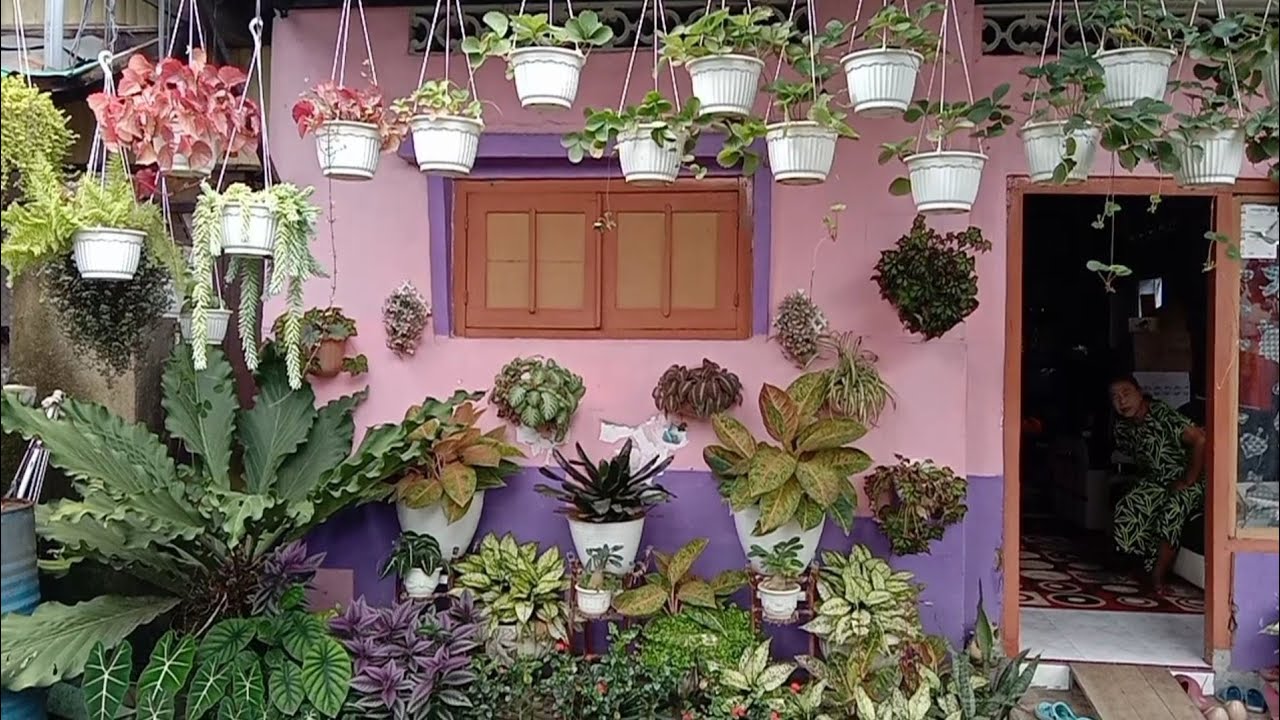 Teras Rumah Sederhana dengan Tanaman Hias Rimbun yang Tertata Rapi ...