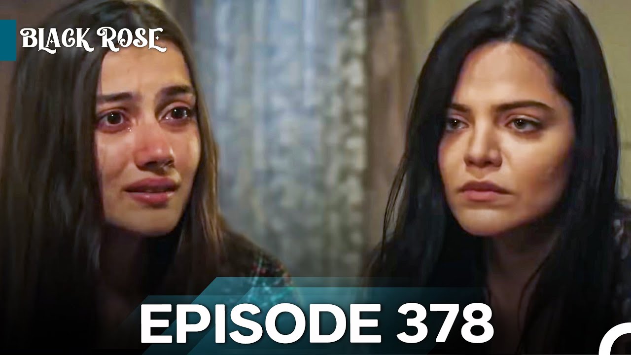 Black Rose Episode 378 - YouTube