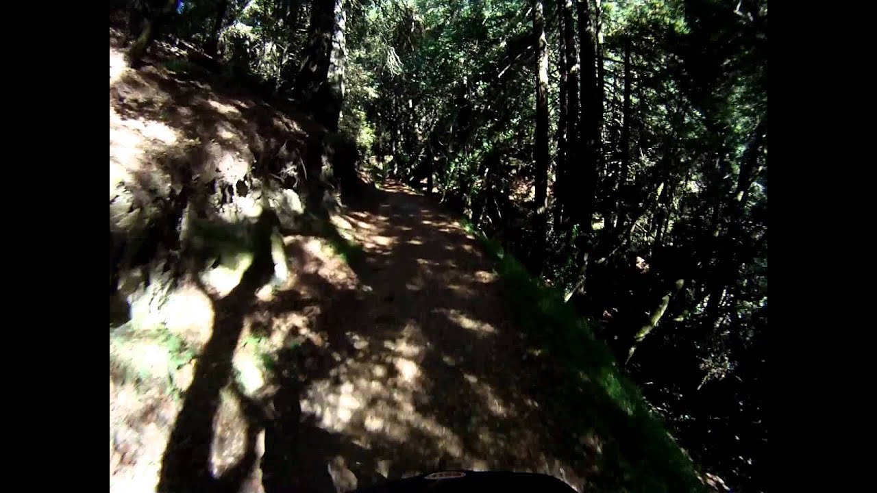 Sequoia Arena @ Joaquin Miller Park Oakland,CA. - YouTube