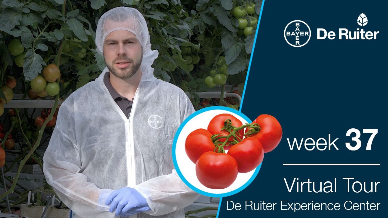 Virtual Tour De Ruiter Experience Center 11 september 2024_NL ...