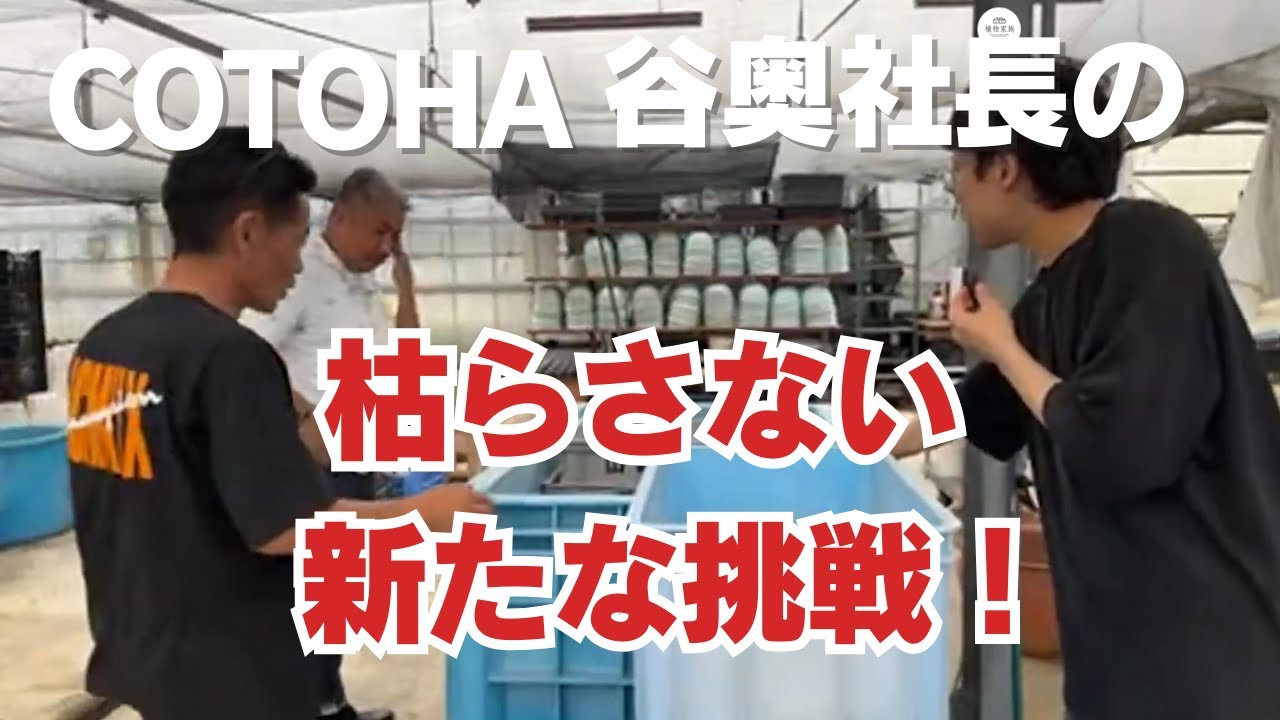 【切り抜き動画】京都COTOHA谷奥社長の新たな挑戦！ - YouTube