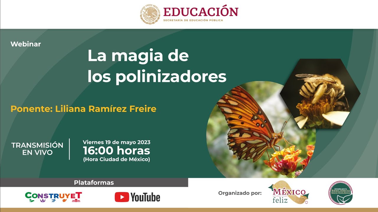 La magia de los polinizadores - YouTube