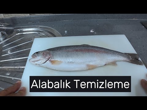 ALABALIK NASIL TEMİZLENİR? -- Way to CLEAN a Trout?