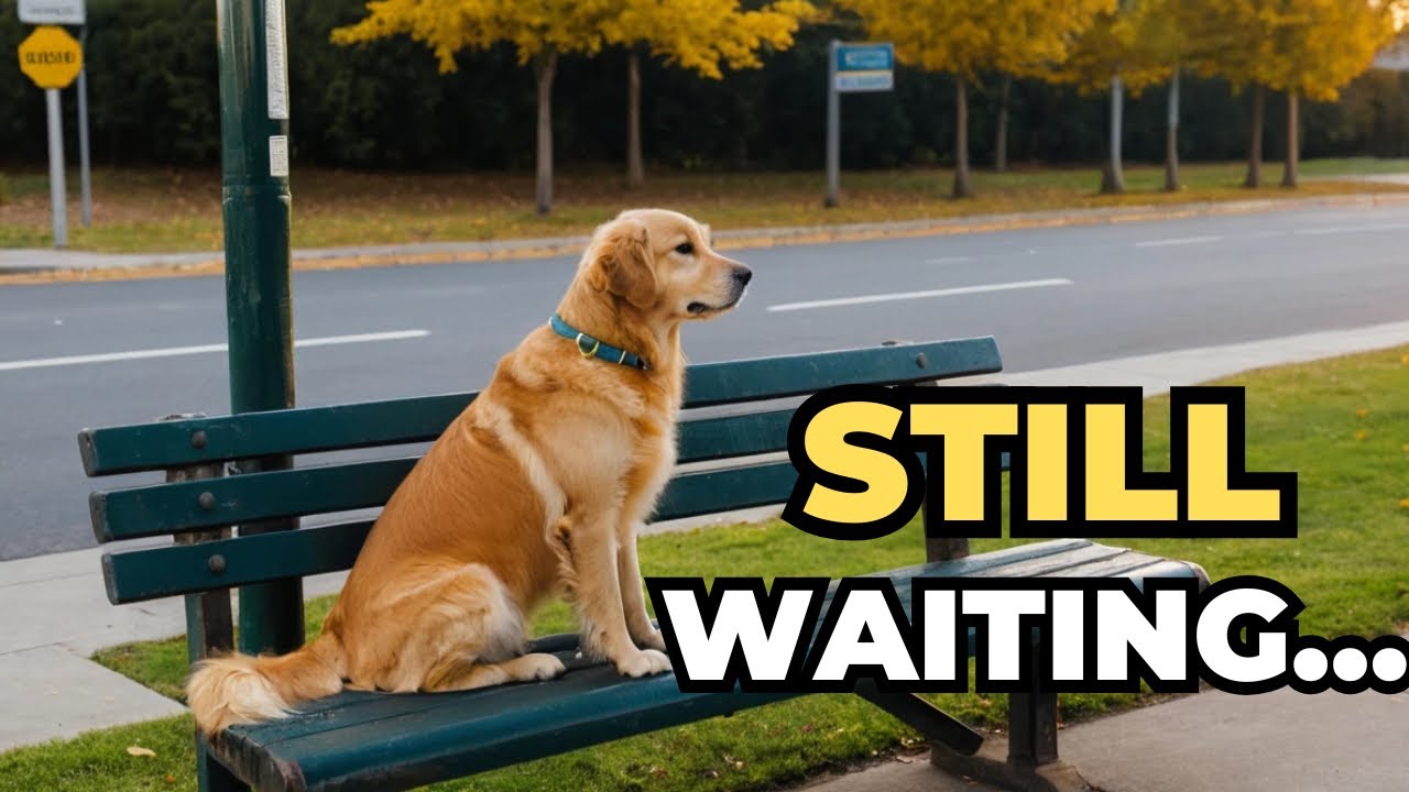 The Waiting Spot - YouTube