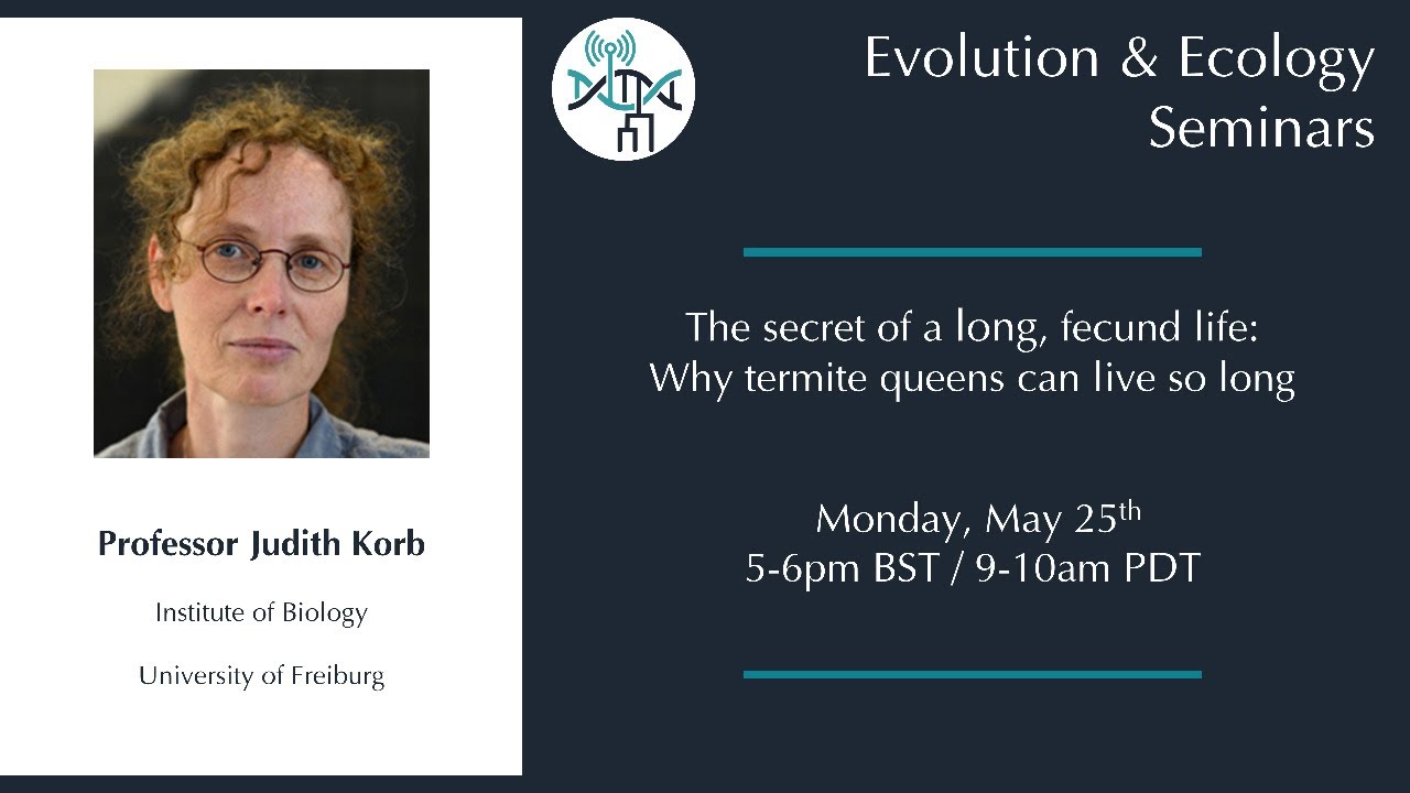 [Judith Korb] The secret of a long, fecund life: why termite queens can ...