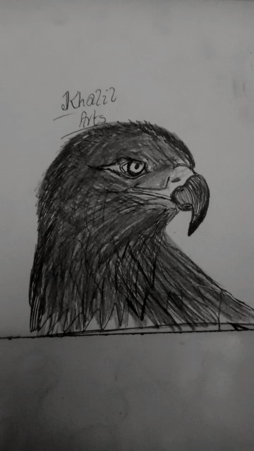 Shaded eagle drawing | Shading Art | Keep supporting | viralshort ...
