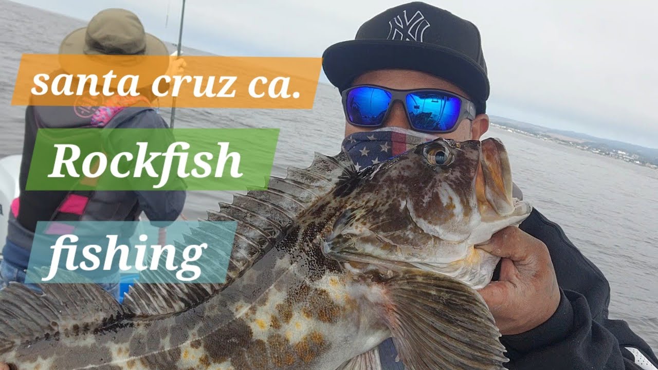 Santa cruz ca. Rockfish fishing 🎣 - YouTube