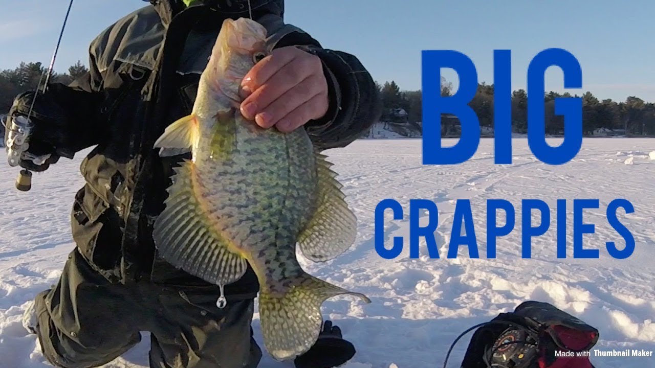 Ice Fishing For BIG Crappies - YouTube