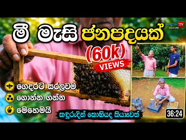 1 Agro – Bee මී මැසි පාලනය