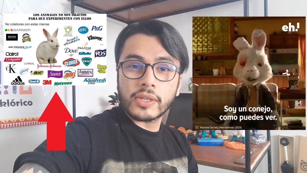 Save Ralph Explicado [El Conejo Ralph y más allá de la experimentación ...