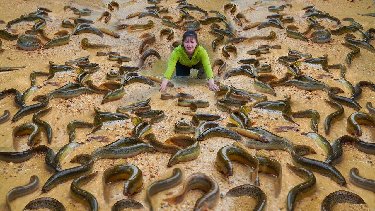 Catching A Lot Of Eels At Mud Pond Goes To Countryside Market Sell For ...