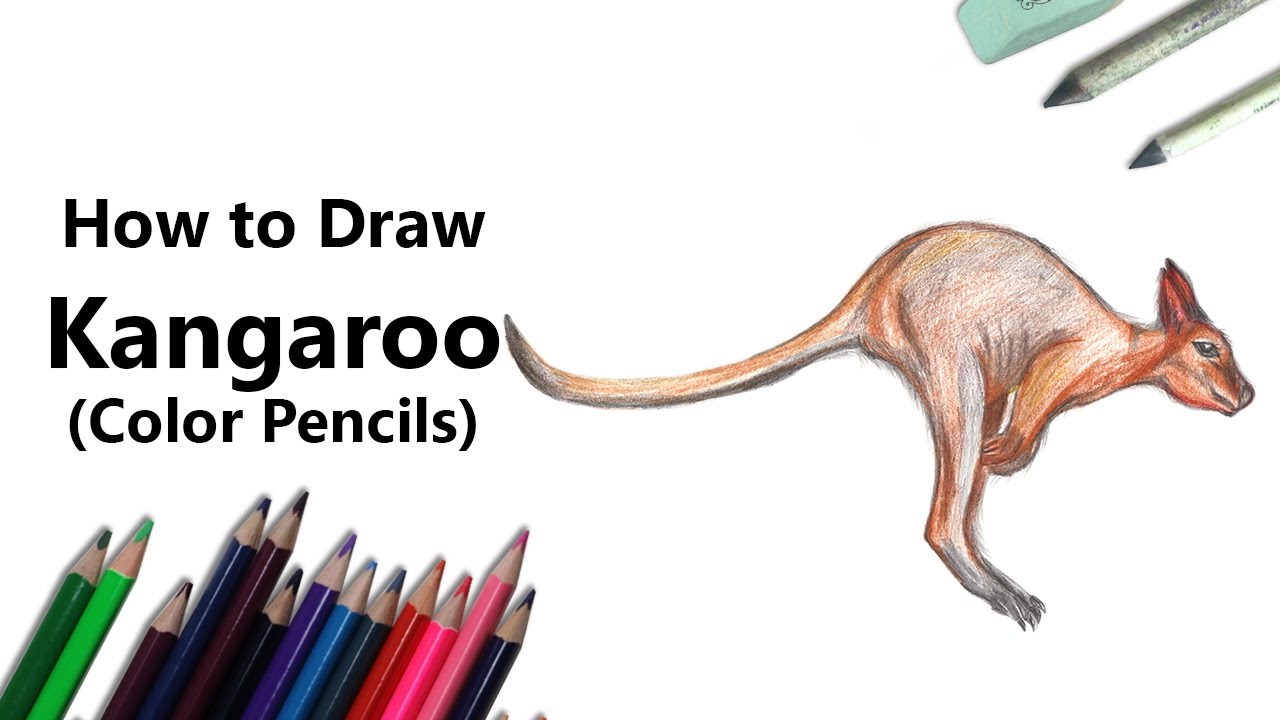 How to Draw a Kangaroo with Color Pencils [Time Lapse] - YouTube