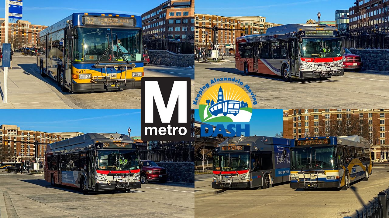 WMATA and DASH Alexandria Transit Company Bus Compilation at King ...