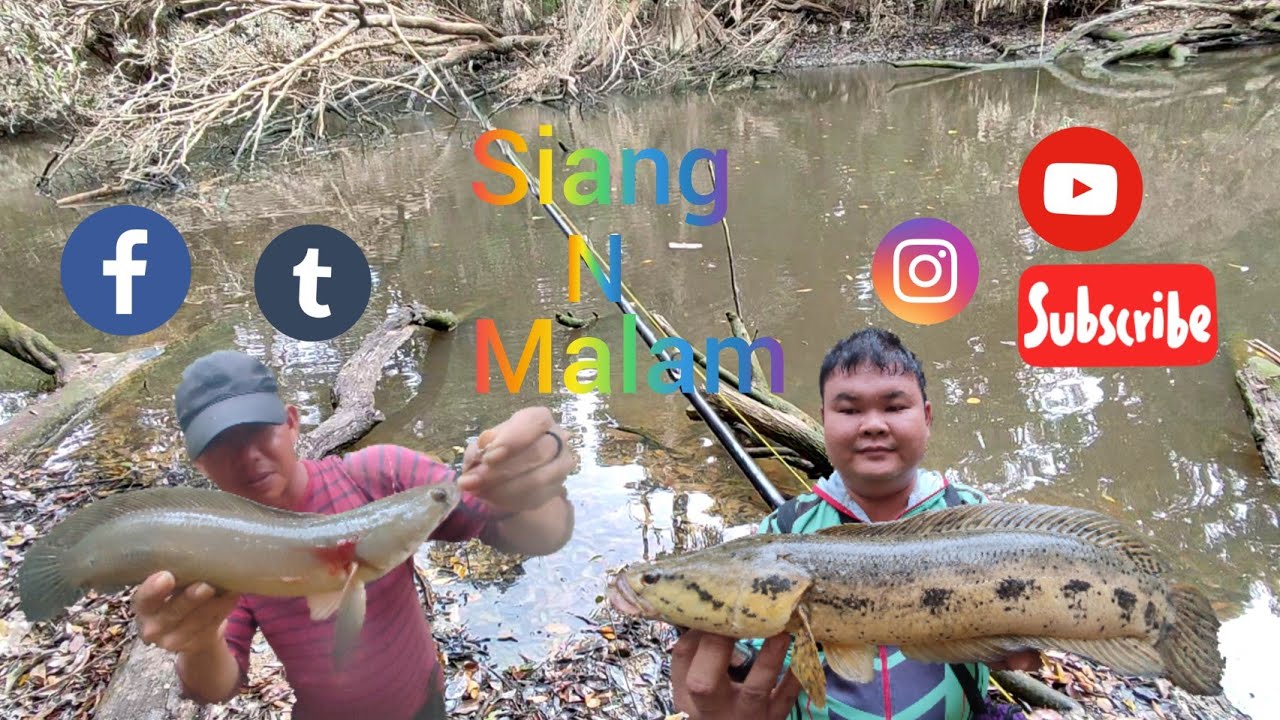 Casting bujuk sungai/钓河的尖班 - YouTube