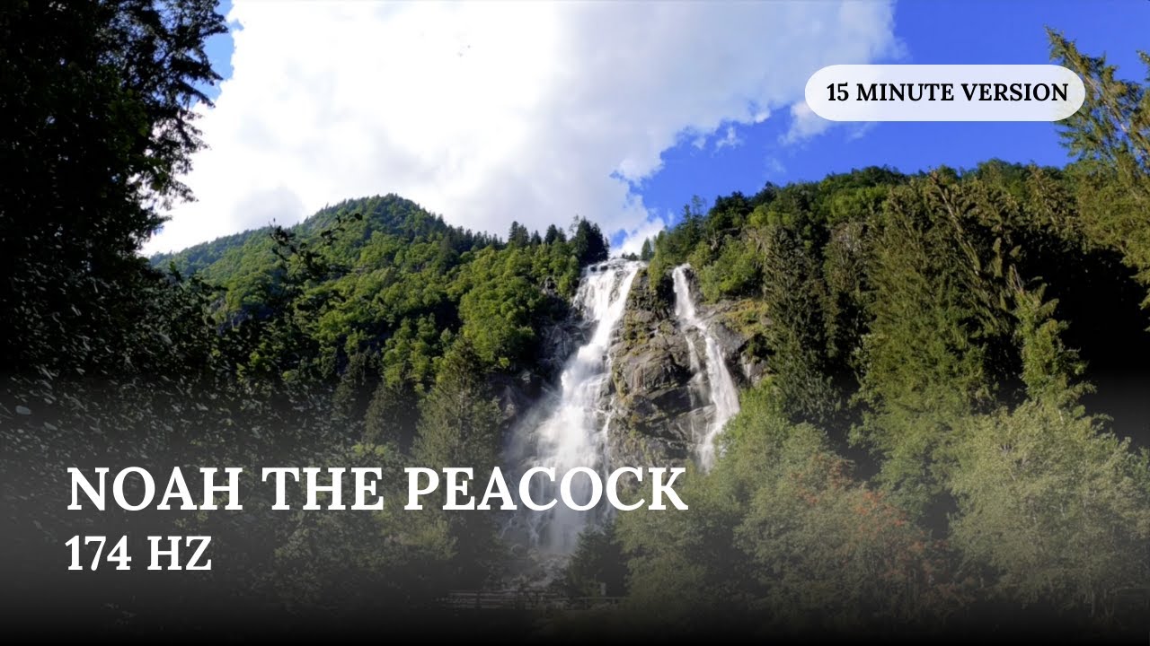 Noah The Peacock - 174 Hz: Relaxing Music with Beautiful Nature ...