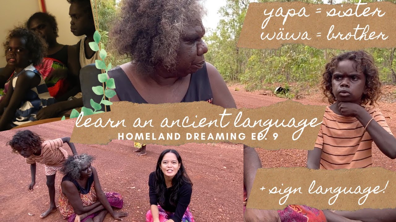 Learn Yolngu Kinship Terms, Sign Language and Vowels | Homeland ...
