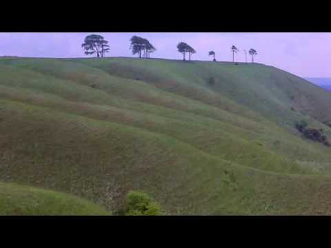 The '1984' show By Almark | Full album