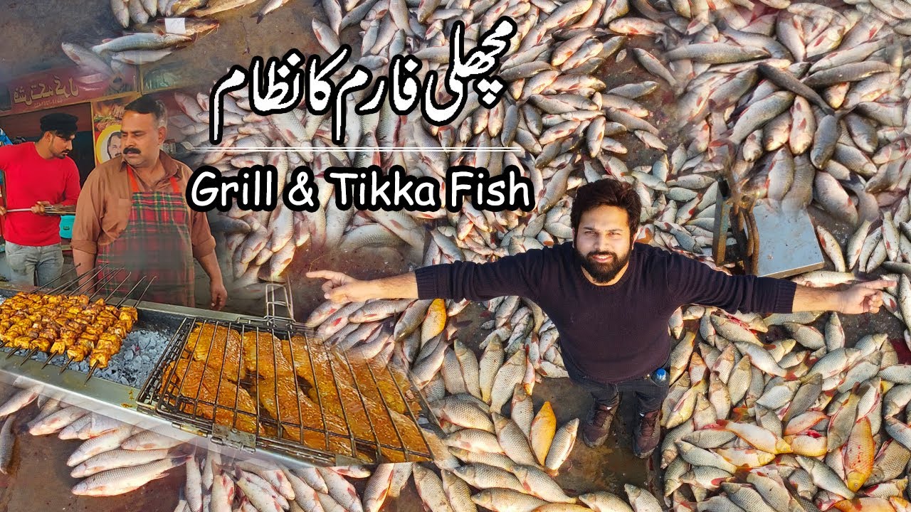 Grilled Tikka Fish | Fish Farming in Pakistan - YouTube