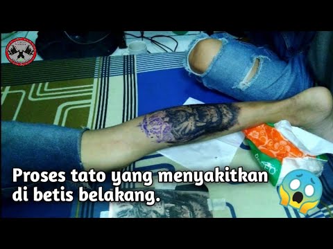 Proses tato yang menyakitkan di betis belakang (macan) | CHAL INK ...