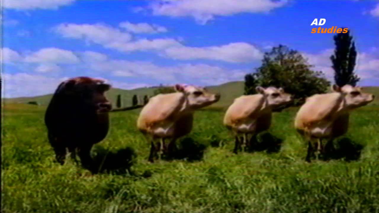 Anchor Butter - Cows - Green Green Grass all year round - YouTube