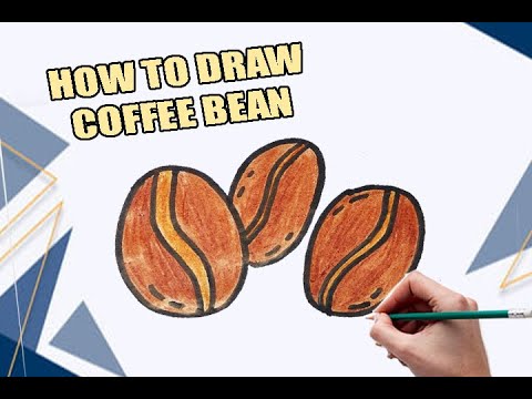 HOW TO DRAW COFFEE BEAN | COFFEE BEANS DRAWING SEEDS | EASY DRAWING ...