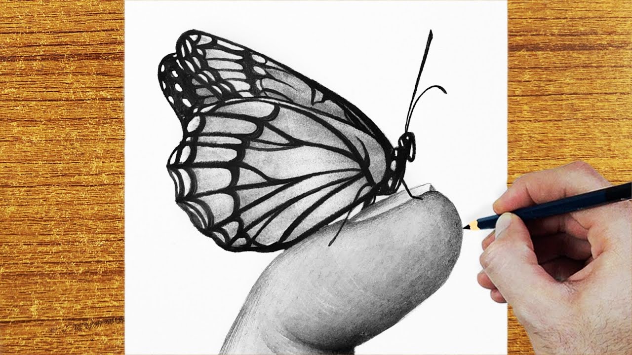 Butterfly Drawing in Hand || Pencil Drawing || How to Draw Butterfly ...