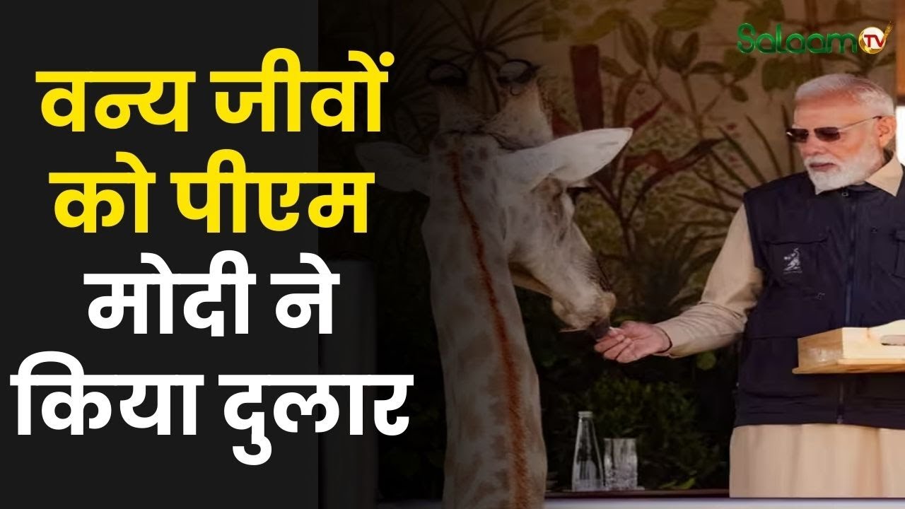 PM Modi Vantara Visit : वन्य जीवों को पीएम मोदी ने किया दुलार | Vantara ...