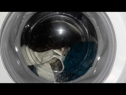 Bosch Maxx 6 Paspas + Giysi Yıkama