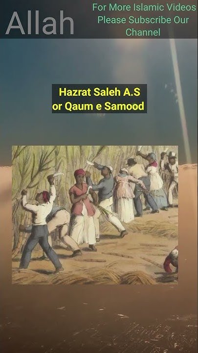 Hazrat Saleh A.S ki ontni ka waqia in Hindi/Urdu | Story of Qaum e ... Hazrat Saleh A.S ki ontni ka waqia in Hindi/Urdu | Story of Qaum e ...