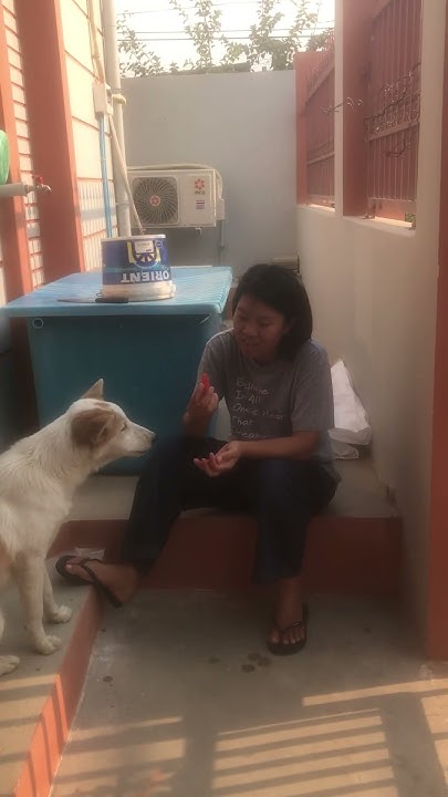 ဂင်္ဂါ Youtube